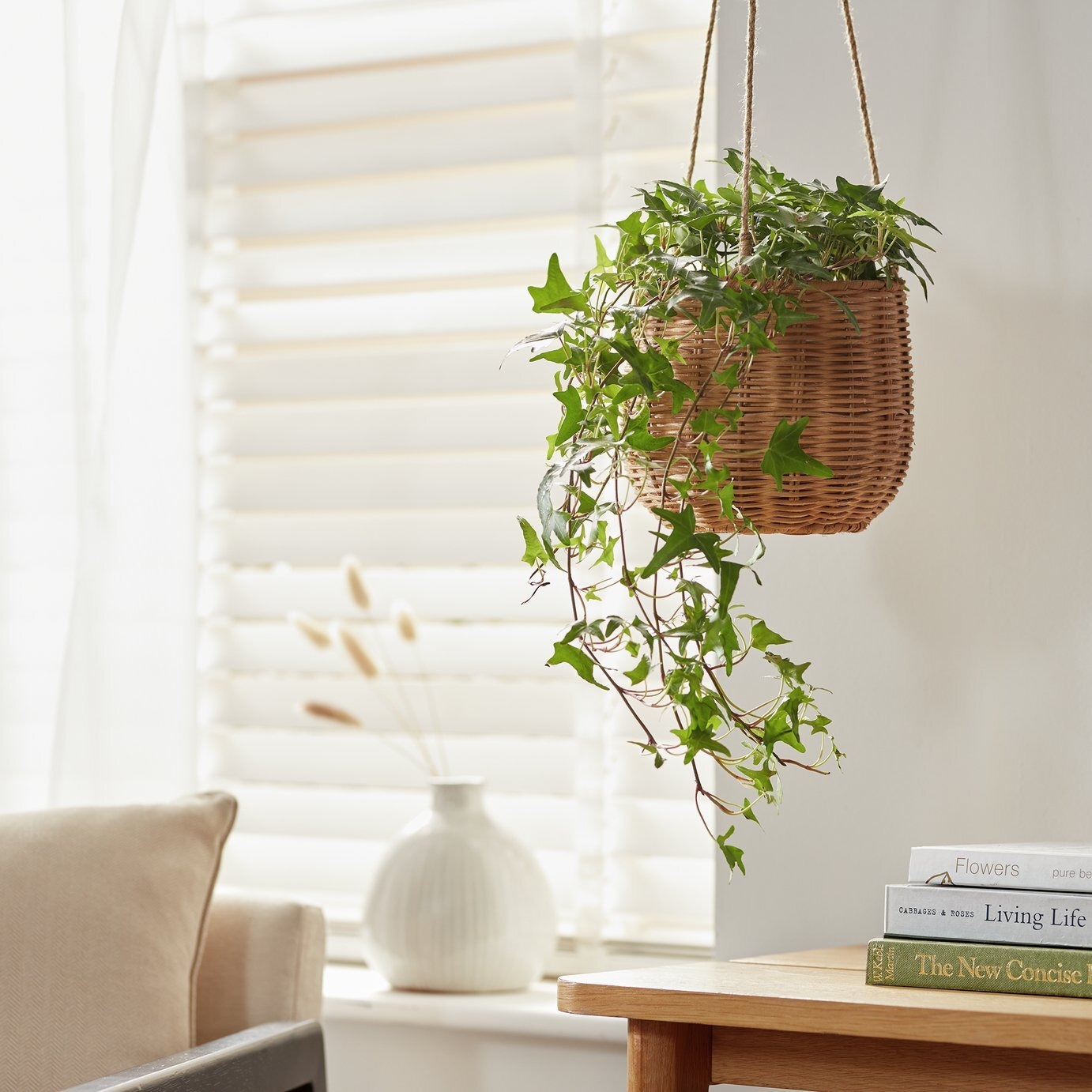 Habitat Rattan Hanging Basket - Natural by Habitat | ufurnish.com