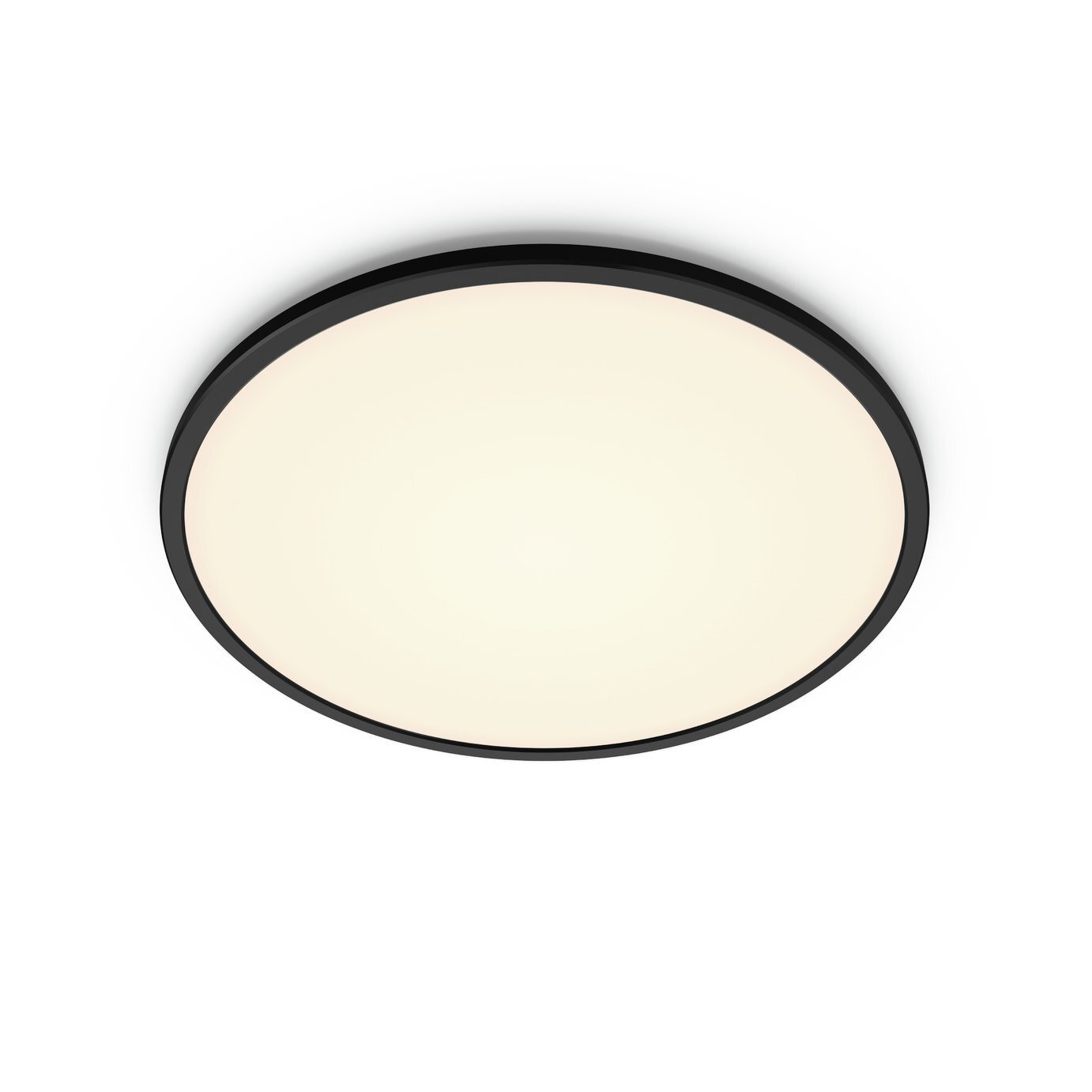 Philips Super Slim Flush to Ceiling Light - Black by Habitat | ufurnish.com