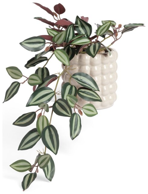 Habitat Artificial Green Tradescantia Zebrina in Ceramic Pot by Habitat ...