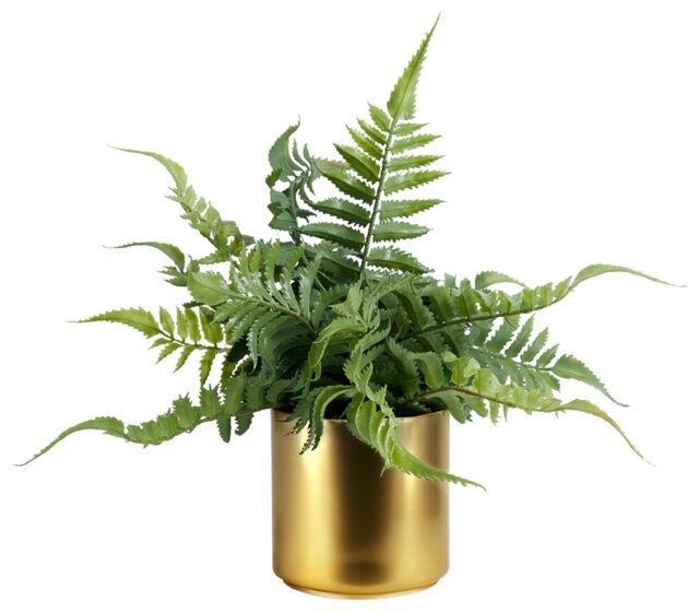 Habitat Artificial Green Fern in Gold Metal Plant Pot - 50cm by Habitat ...