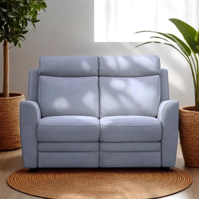 Dakota 2 Seater Sofa Static Leather - Leather by Haskins Furniture ...