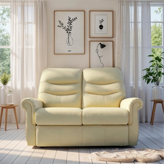 G Plan Holmes 2 Seater Sofa in Leather - Grade H by Haskins Furniture ...