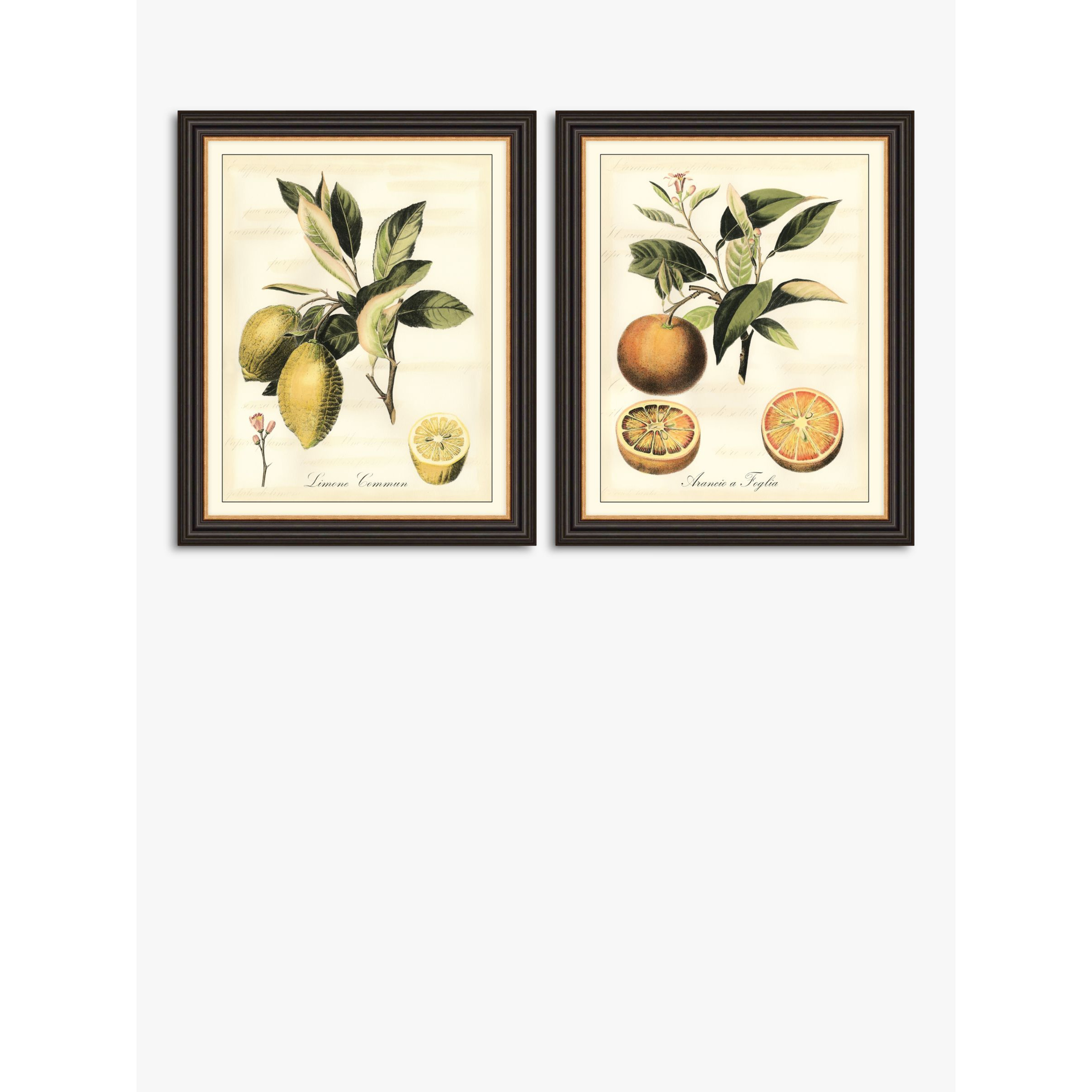 Vision Studio - 'Tuscan Fruit' Framed Print, Set of 2, 57 x 47cm, Green ...