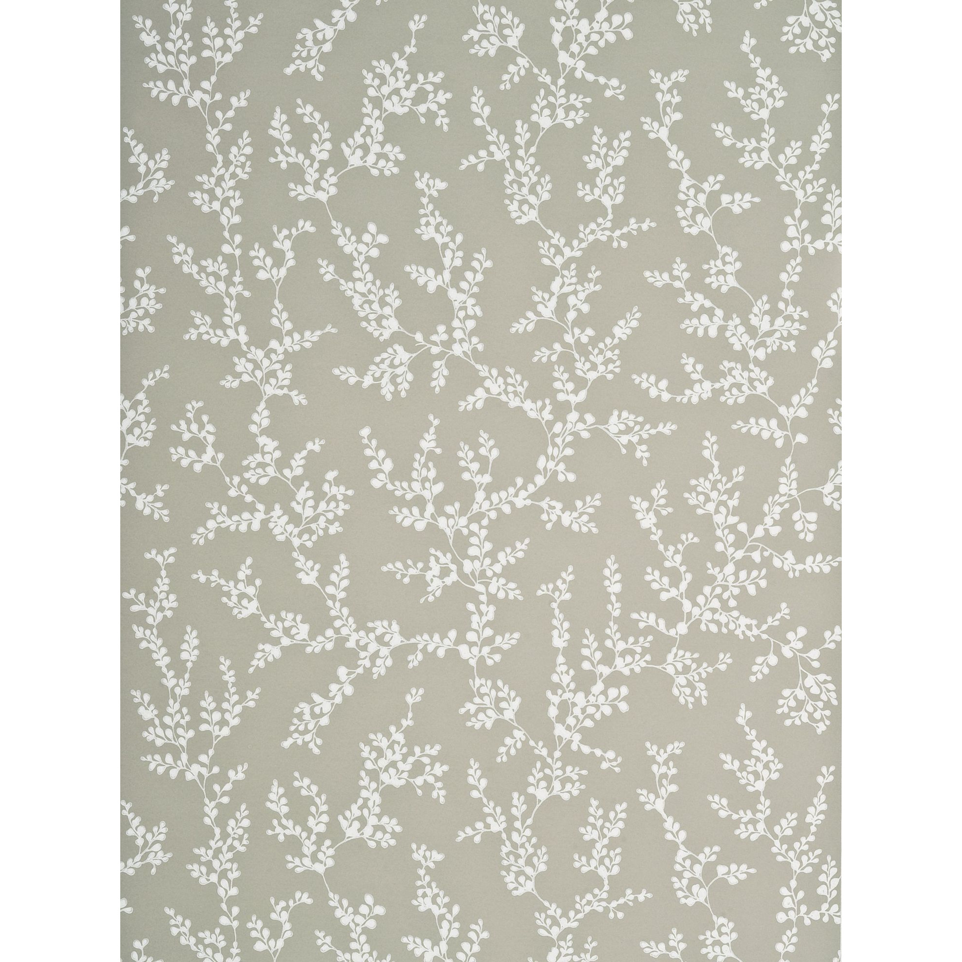 GP & J Baker Shadow Fern Wallpaper by John Lewis & Partners | uFurnish.com