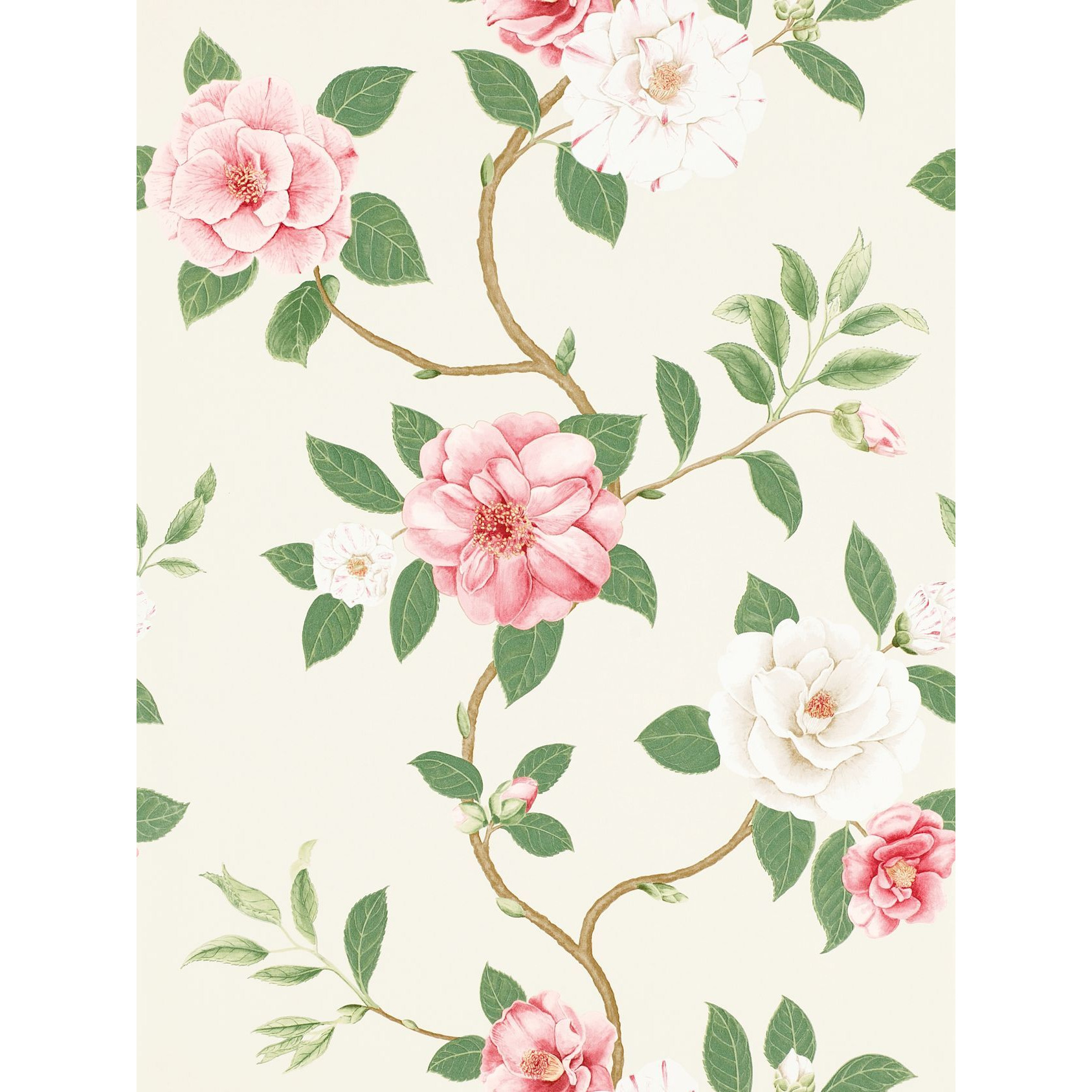 Sanderson Christabel Wallpaper by John Lewis & Partners | ufurnish.com