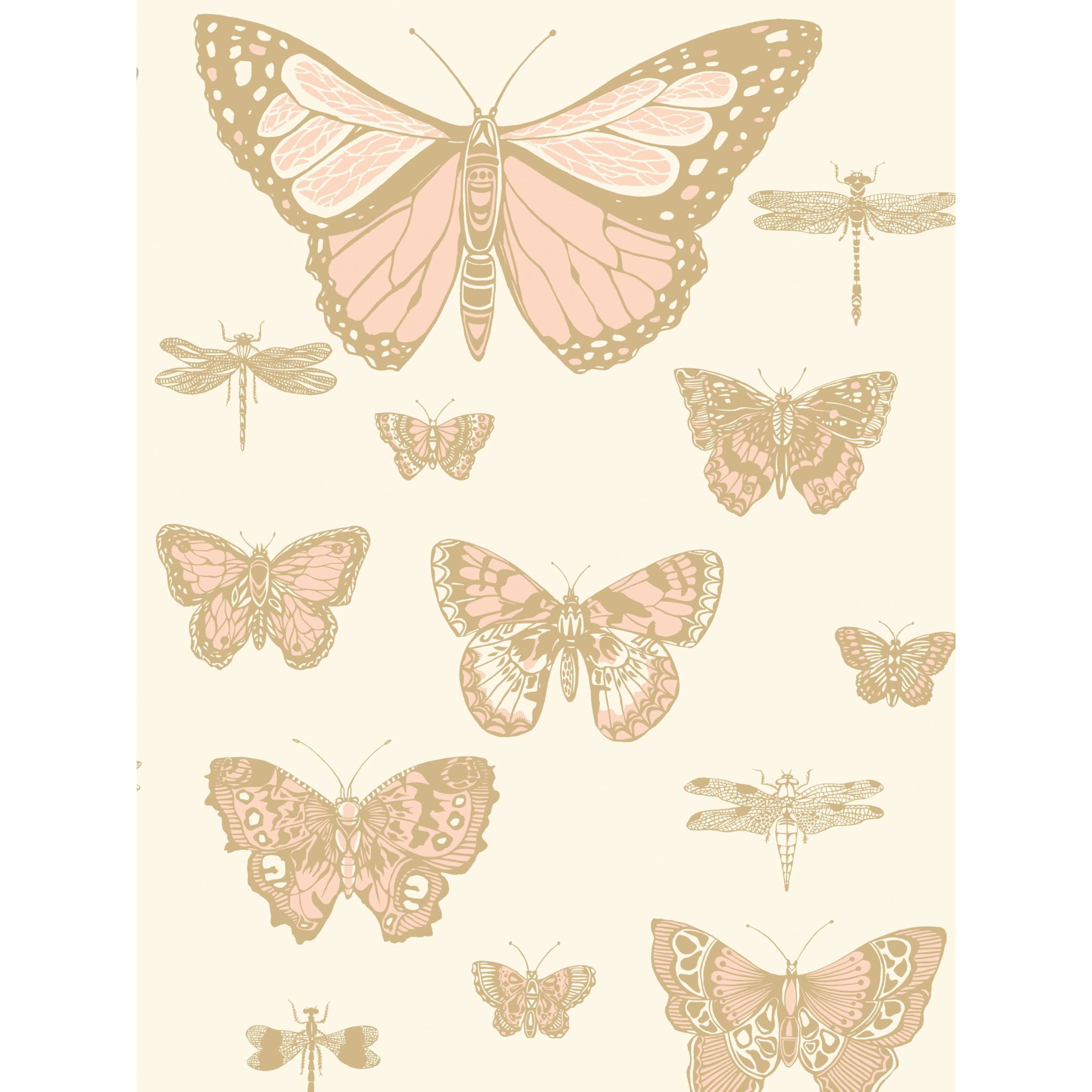 Cole & Son Butterflies & Dragonflies Wallpaper by John Lewis & Partners ...