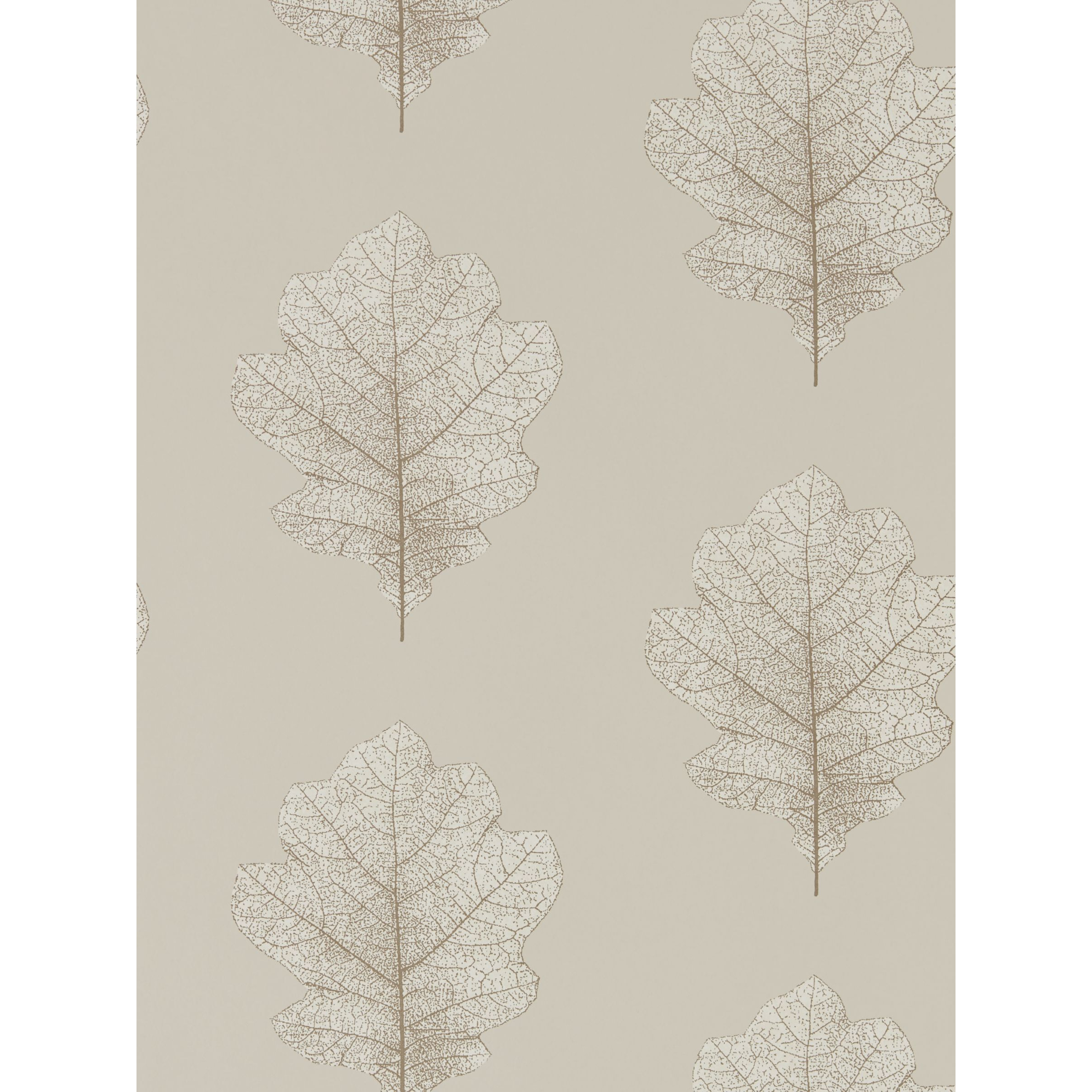 Sanderson Oak Filigree Wallpaper by John Lewis & Partners | ufurnish.com