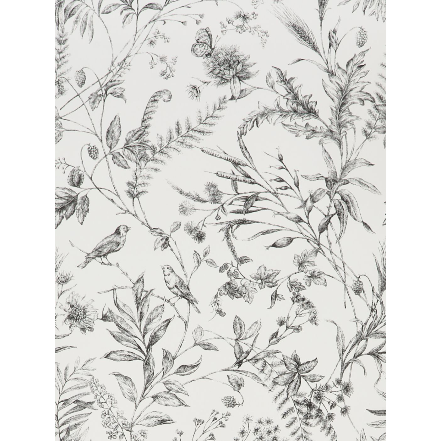 Ralph Lauren Fern Toile Wallpaper by John Lewis & Partners | ufurnish.com