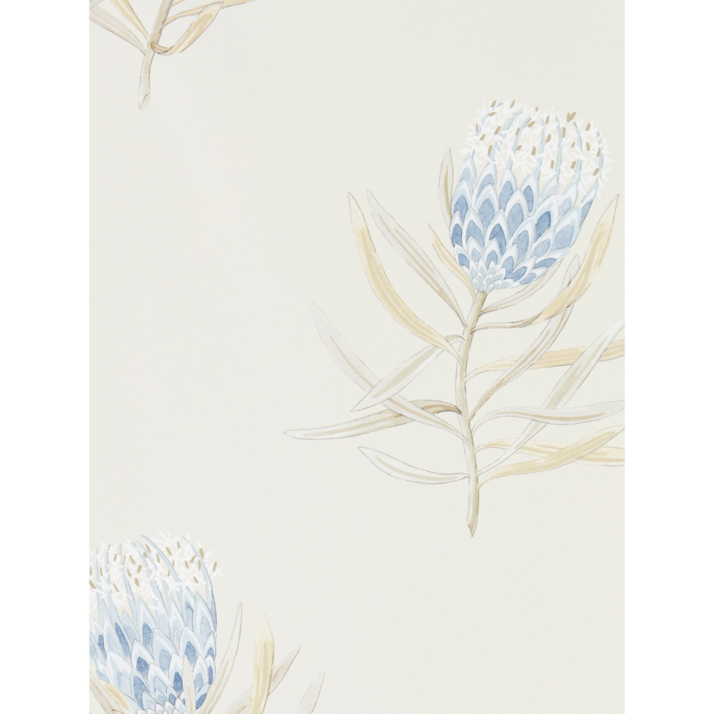 Sanderson Protea Flower Wallpaper by John Lewis & Partners | ufurnish.com