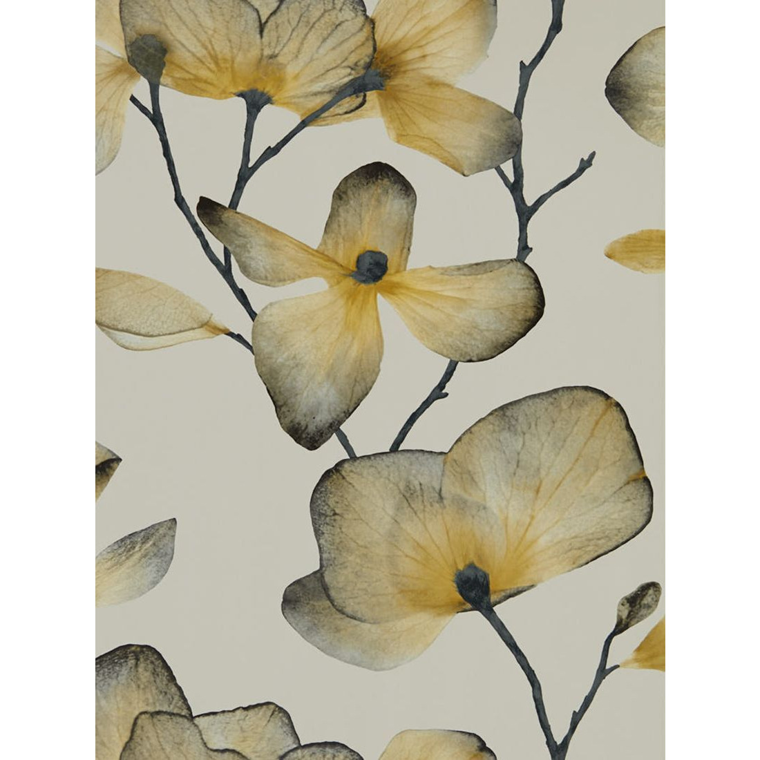 Harlequin Kienze Wallpaper by John Lewis & Partners | ufurnish.com