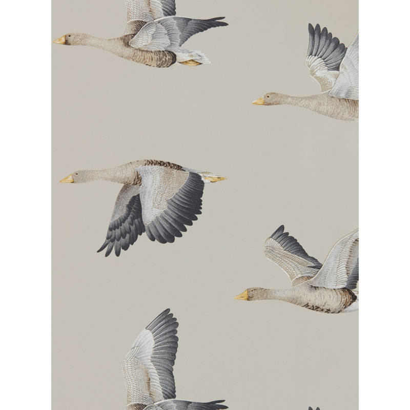 Sanderson Elysian Geese Wallpaper by John Lewis & Partners | ufurnish.com