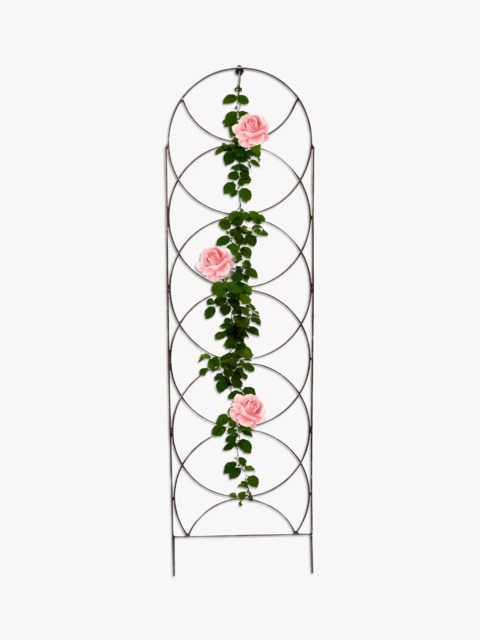 Ivyline Climbing Plant Metal Cylinder Garden Wall Trellis, Zinc by John ...