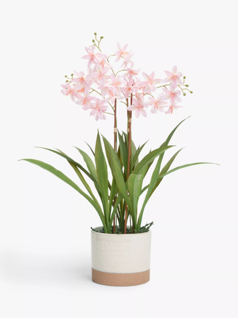 John Lewis Artificial Mini Orchid in Ceramic Pot by John Lewis ...