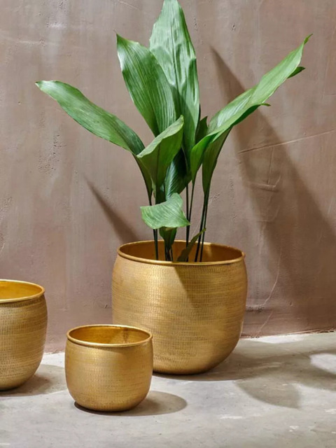 nkuku Tembesi Planter by John Lewis & Partners | ufurnish.com