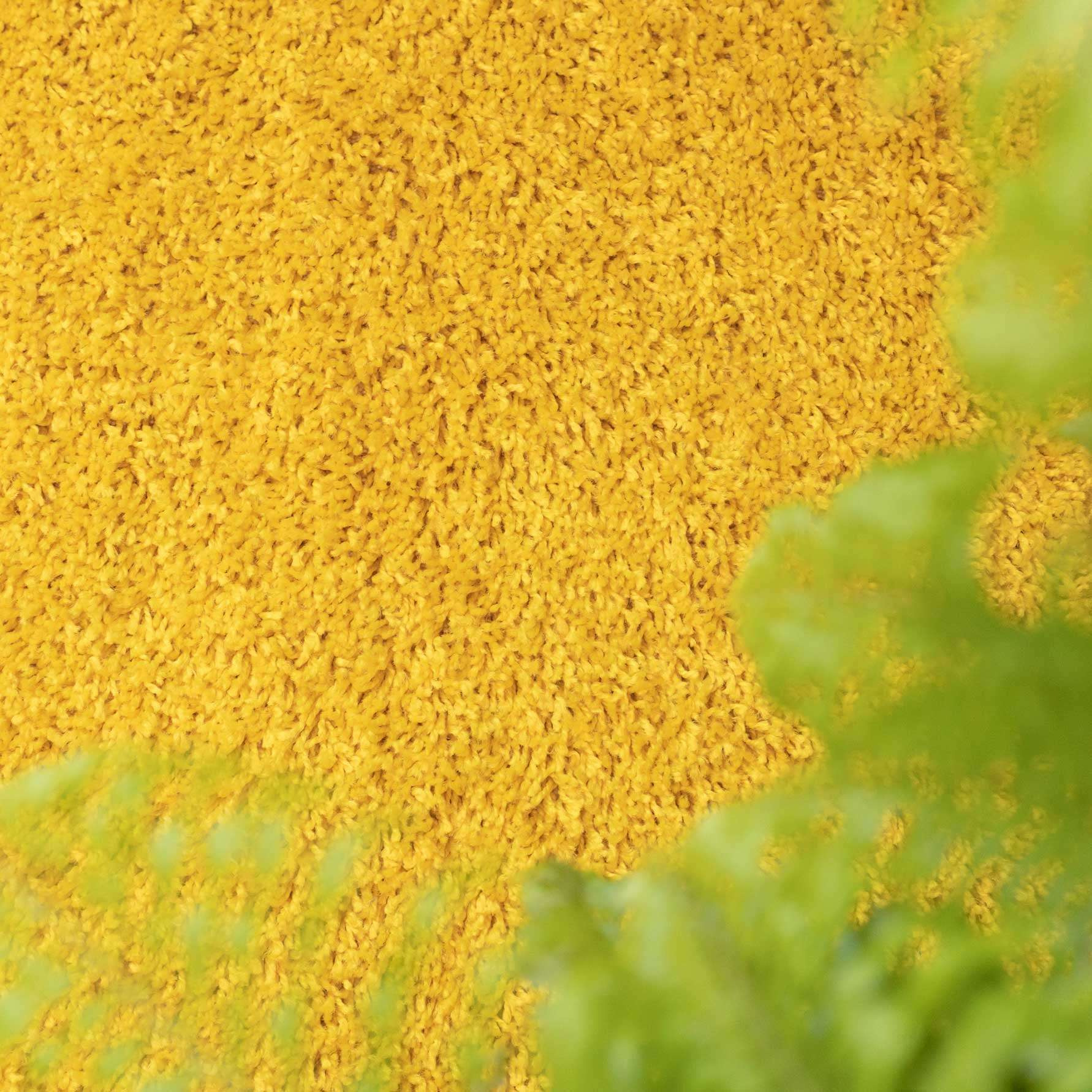 Yellow Shaggy Runner Rug - Vancouver - 60cm x 230cm Runner by Kukoon ...