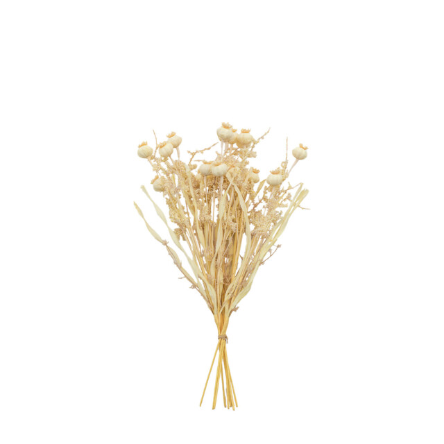 Dry Look Artificial Poppy Bundle by La Redoute | ufurnish.com