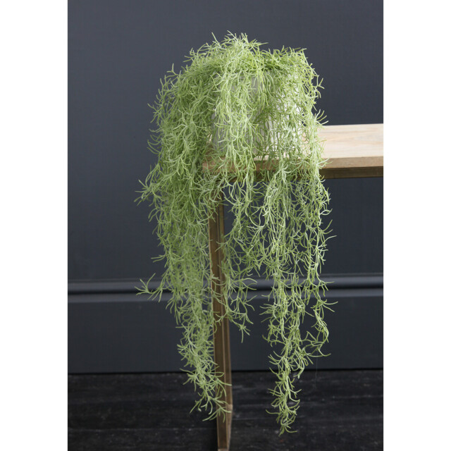 70cm Artificial Trailing Spanish Moss / Tilandsia Plant by La Redoute ...
