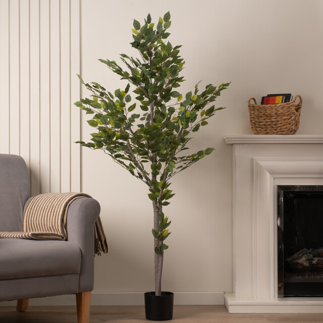155cm Real Touch Artificial Mini Ficus Tree by La Redoute | ufurnish.com