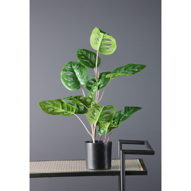 45cm Artificial Real Touch Monstera Plant by La Redoute | ufurnish.com