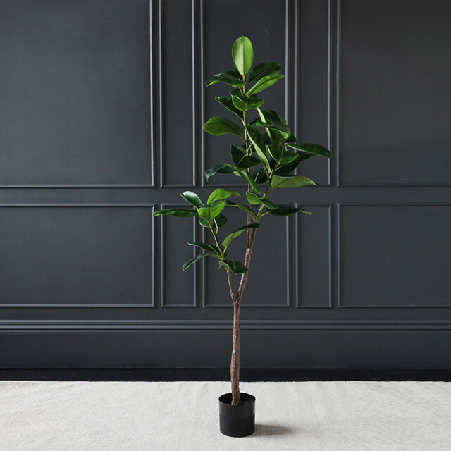 170cm Real Touch Artificial Rubber Tree by La Redoute | ufurnish.com
