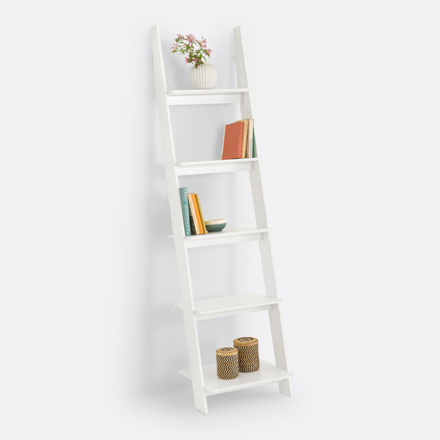Domeno Wall-Mounted Ladder Bookcase by La Redoute | ufurnish.com