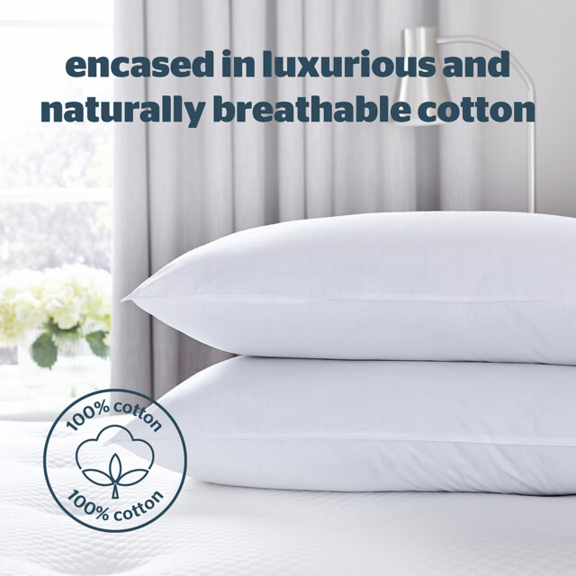Pure Cotton Pillow Pair by La Redoute | ufurnish.com
