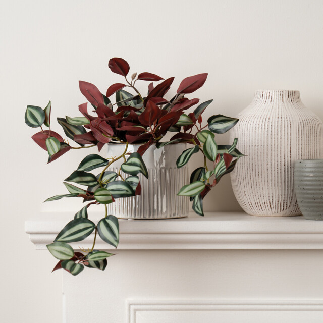 "Artificial Violet Trailing Tradescantia Zebrina ""Wandering Dude ...