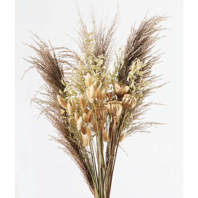 60cm Natural Dried Floral Bouquet - Natural Pampas, Bunny Tail & Gold ...