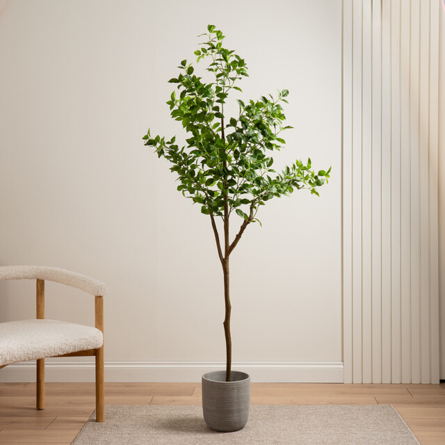 180cm Artificial Real Touch Ficus Tree by La Redoute | ufurnish.com