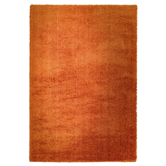 Shimmer Thick Pile Soft Shaggy Rug by La Redoute | ufurnish.com