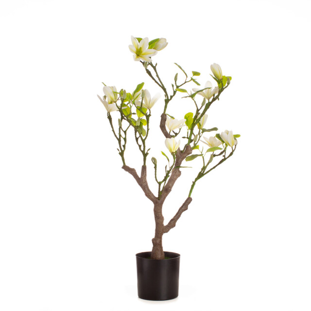70cm Cream Tabletop Real Touch Magnolia Tree by La Redoute | ufurnish.com