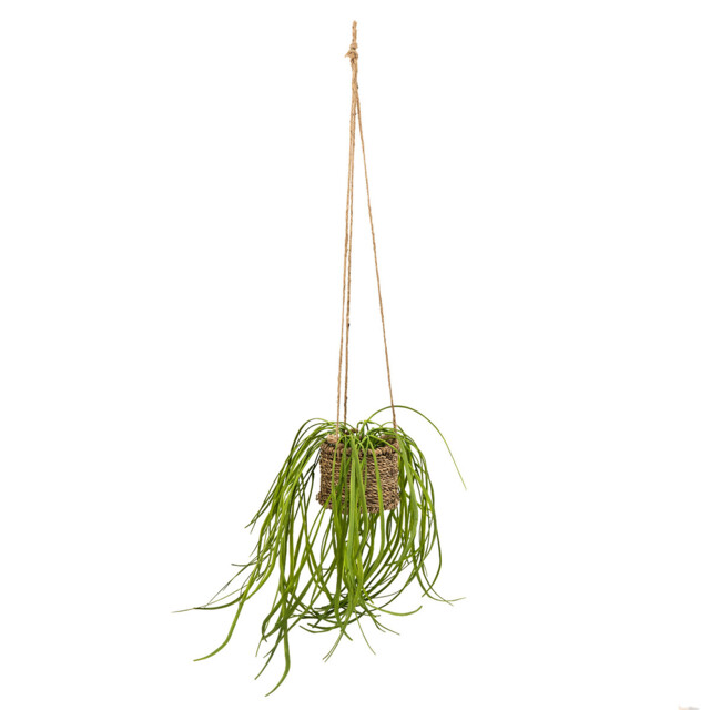 Artificial Spider Plant in Rattan Basket by La Redoute | ufurnish.com