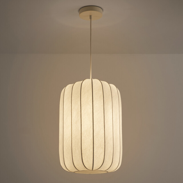 Palupo L27 X H43.5cm Ceiling Light by La Redoute | uFurnish.com