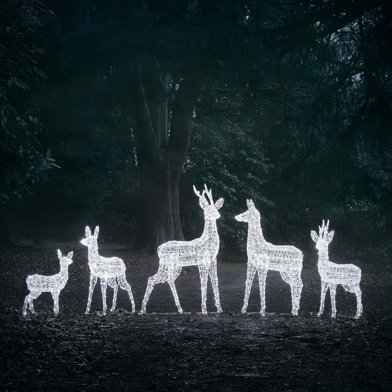 Set of 5 Swinsty Dual Colour LED Light Up Reindeer by Lights4fun ...