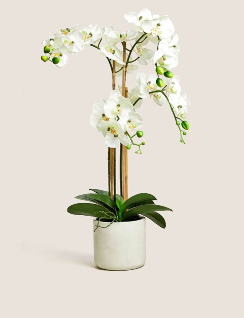 Moss & Sweetpea Artificial Real Touch Extra Large Orchid in Pot - White ...