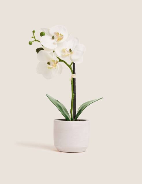 Moss & Sweetpea Artificial Real Touch Small Orchid in Pot White by ...
