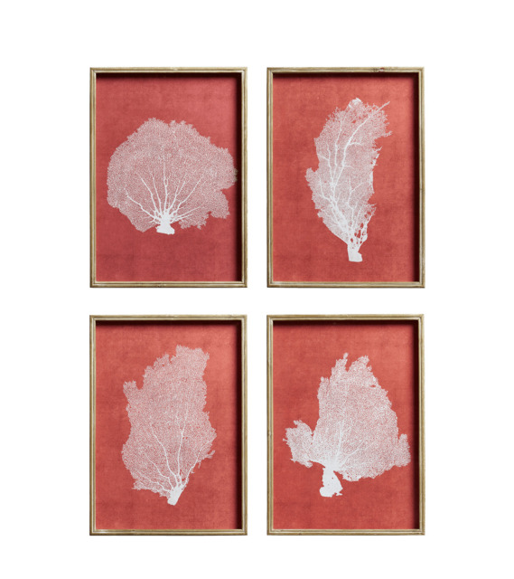 OKA, Set of Four Skeleton Coral Prints - Red/White, Wall Prints, Wood ...