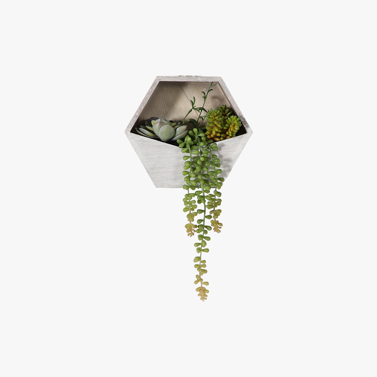 Isla Faux Echeveria Succulents in White Wall Planter by Perch & Parrow ...