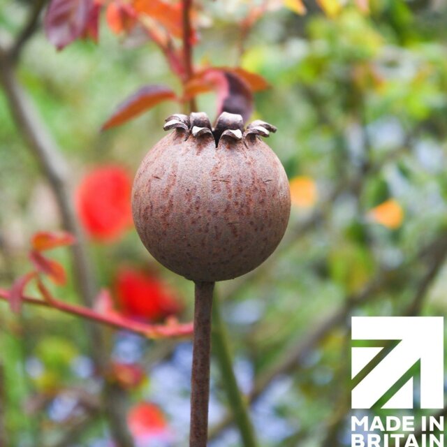 Rackhams Rusty Metal Poppy Seedhead - Metal Garden Flower Sculpture ...