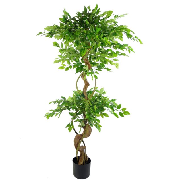 Rackhams 150cm Twisted Trunk Artificial Japanese Fruticosa Style Ficus ...