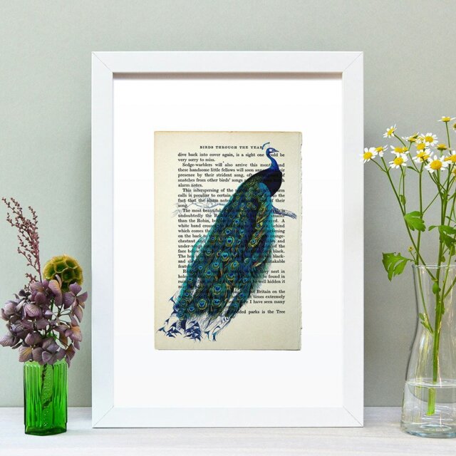Rackhams Peacock vintage book page art print - White by Rackhams ...