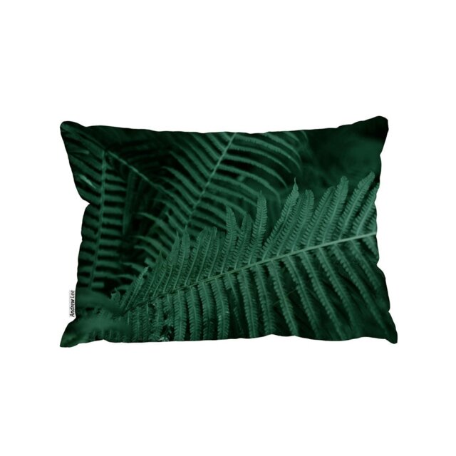 Rackhams Deep Green Fern Leaves Texture. Fern In The Forest. Plants ...