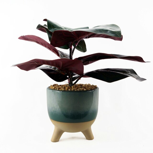Rackhams 35cm Artificial Ficus Plant with Teal Blue Green Ceramic ...
