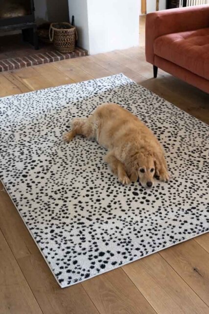 Muse Monochrome Dalmatian Spot Rug - 2 Sizes Available by Rockett St ...