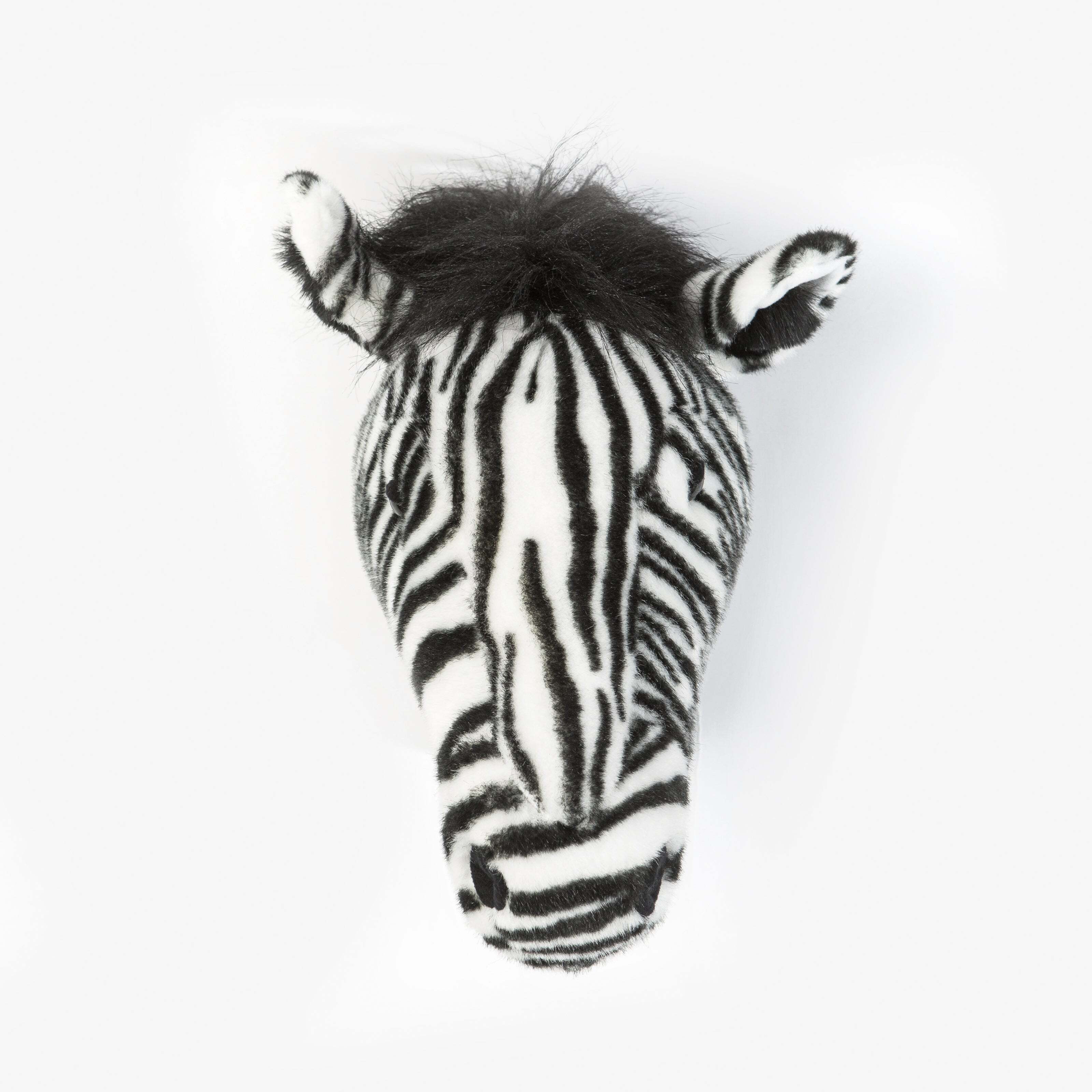 Daniel Zebra Head Wall Mount, Black - White by Sazy | ufurnish.com