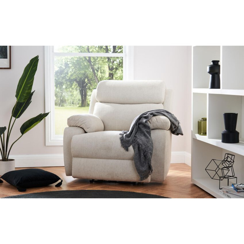 ScS Living Fabric Reuben Standard Chair by SCS | ufurnish.com