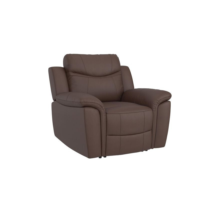 ScS Living Brown Grayson Leather Standard Chair by SCS | ufurnish.com