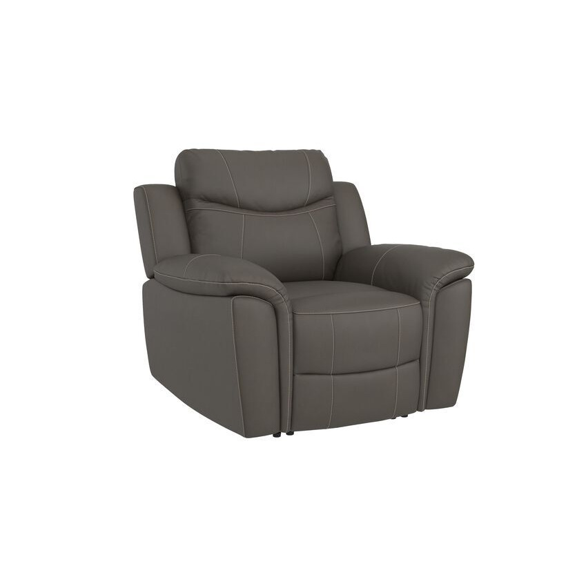 ScS Living Grey Grayson Leather Standard Chair by SCS | ufurnish.com