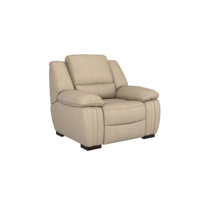 ScS Living Brown Fallon Leather Standard Chair by SCS | ufurnish.com