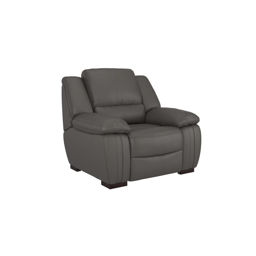 ScS Living Grey Fallon Leather Standard Chair by SCS | ufurnish.com